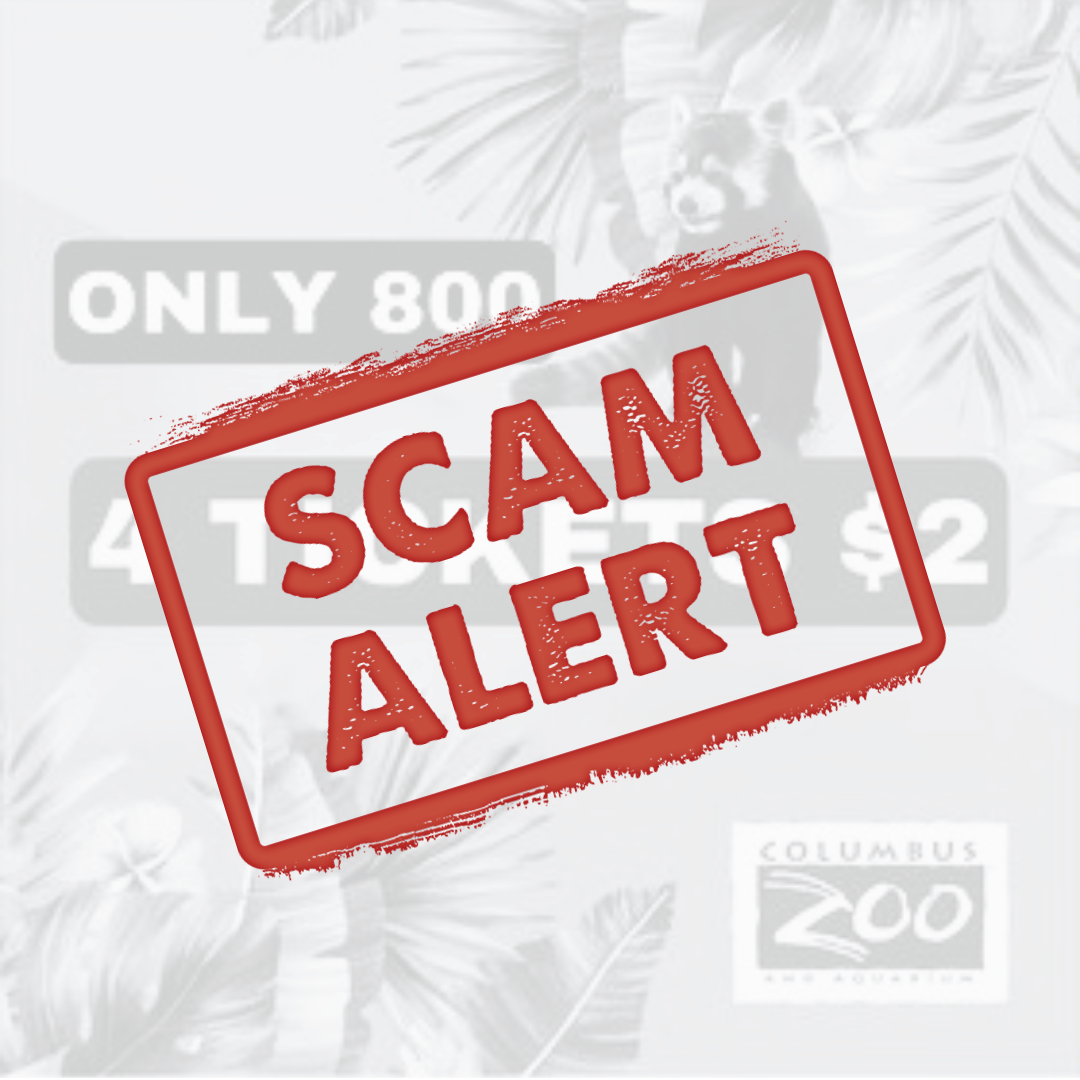 Protecting Our Guests: A Guide to Identifying Zoo Ticket Scams | Columbus Zoo and Aquarium